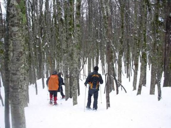 El CAVLA invita a su nueva salida de andinismo al Cerro Pantojo ...