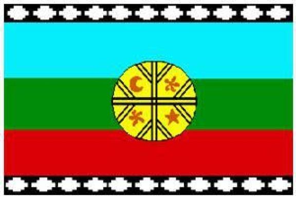 Descubriendo la historia de la bandera mapuche | Diario Andino Digital ...