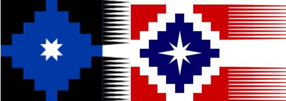 Descubriendo la historia de la bandera mapuche | Diario Andino Digital ...