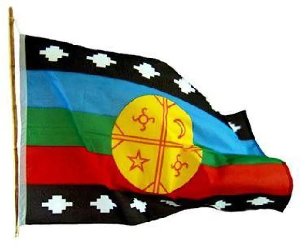 Descubriendo la historia de la bandera mapuche | DiarioAndino